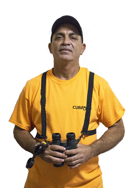 Cuba Birding Tours - Discover Cuba and its unique avifauna